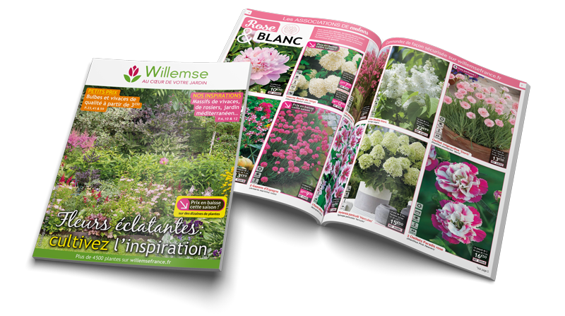 Willemse: 📖 Le nouveau catalogue est disponible ! | Milled