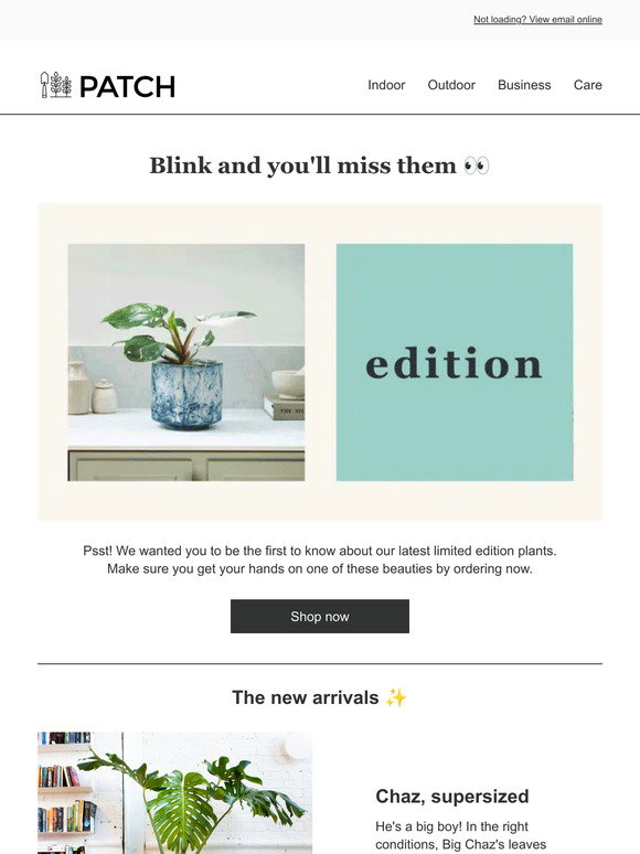 Patch Plants: New limited edition plants | Milled
