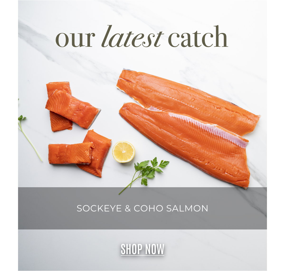 Snake River Farms: ⚓ Free King or Sockeye Salmon Filets | Milled