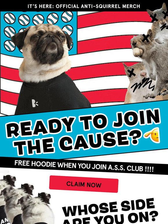 BarkBox: Where do your loyalties lie? | Milled