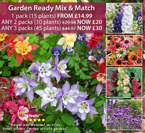 Thompson & Morgan: 15 Garden Ready Perennials FROM £10 A Pack! Mix ...