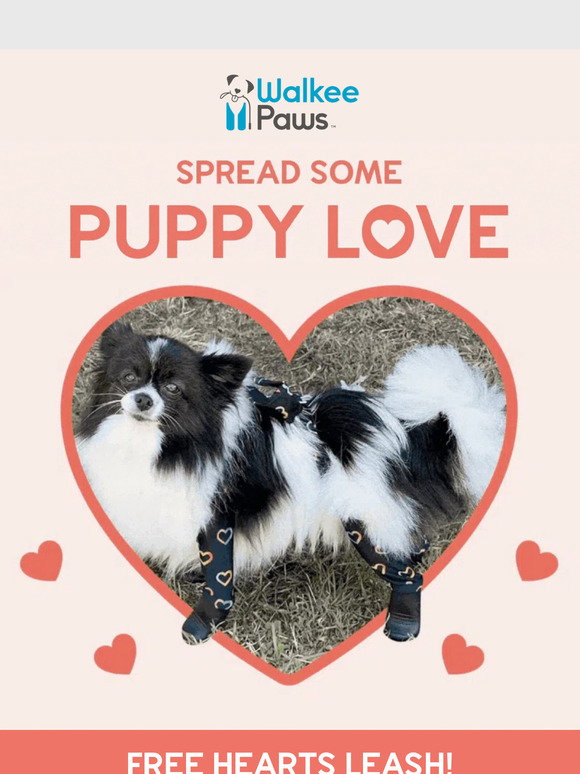 Walkee Paws: Show your puppy love! ️ | Milled