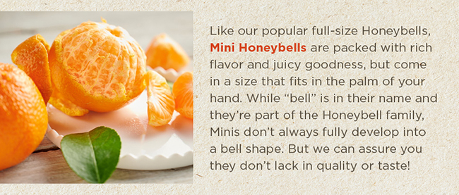 Hale Groves: 🍊 Buy 12 Get 12 More for FREE on our Hale Mini Honeybells! 🍊 | Milled