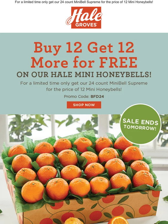 Hale Groves: 🍊 Buy 12 Get 12 More for FREE on our Hale Mini Honeybells ...
