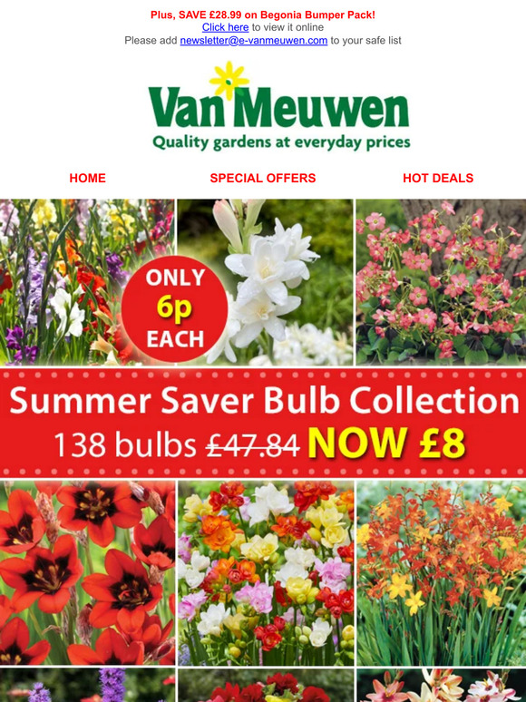 Van Meuwen: £47 Summer Bulb Bundle NOW £8 | Milled