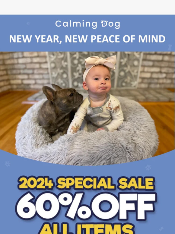 Calming Dog: Discover 10 Ways Our Calming Cuddle Bed Supports Your Dog ...