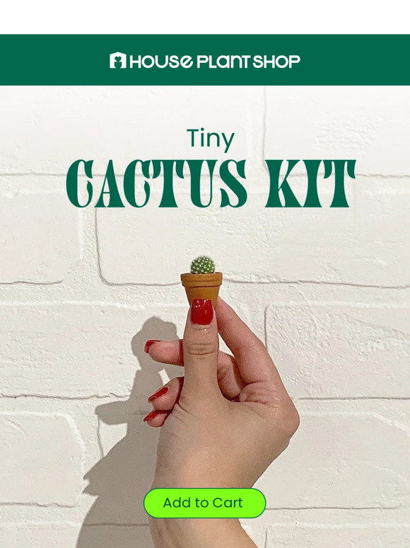 House Plant Shop: Meet our adorable DIY cactus kit🌵 | Milled