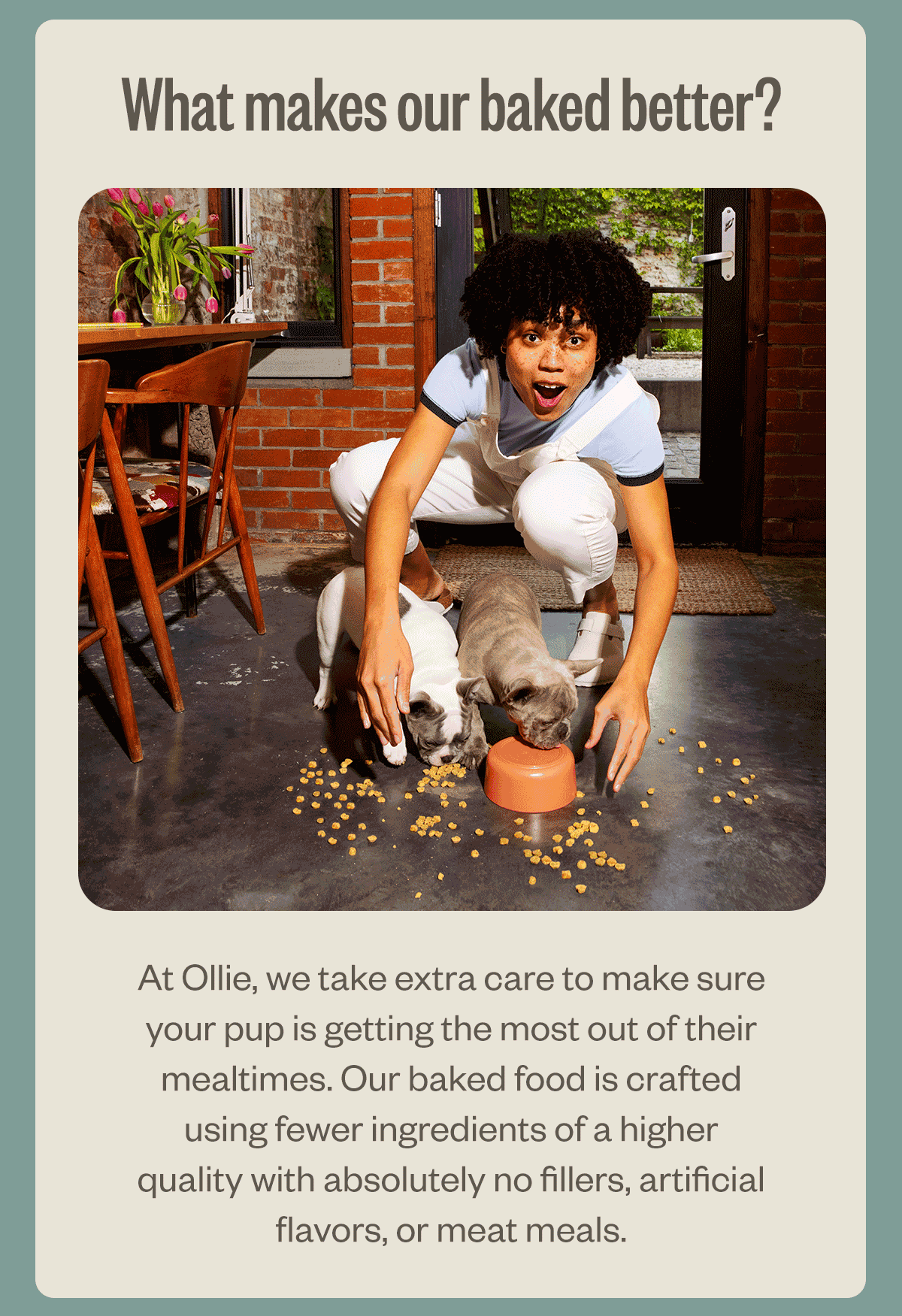 Ollie Pets: Dig into the facts on fresh food🧐 | Milled