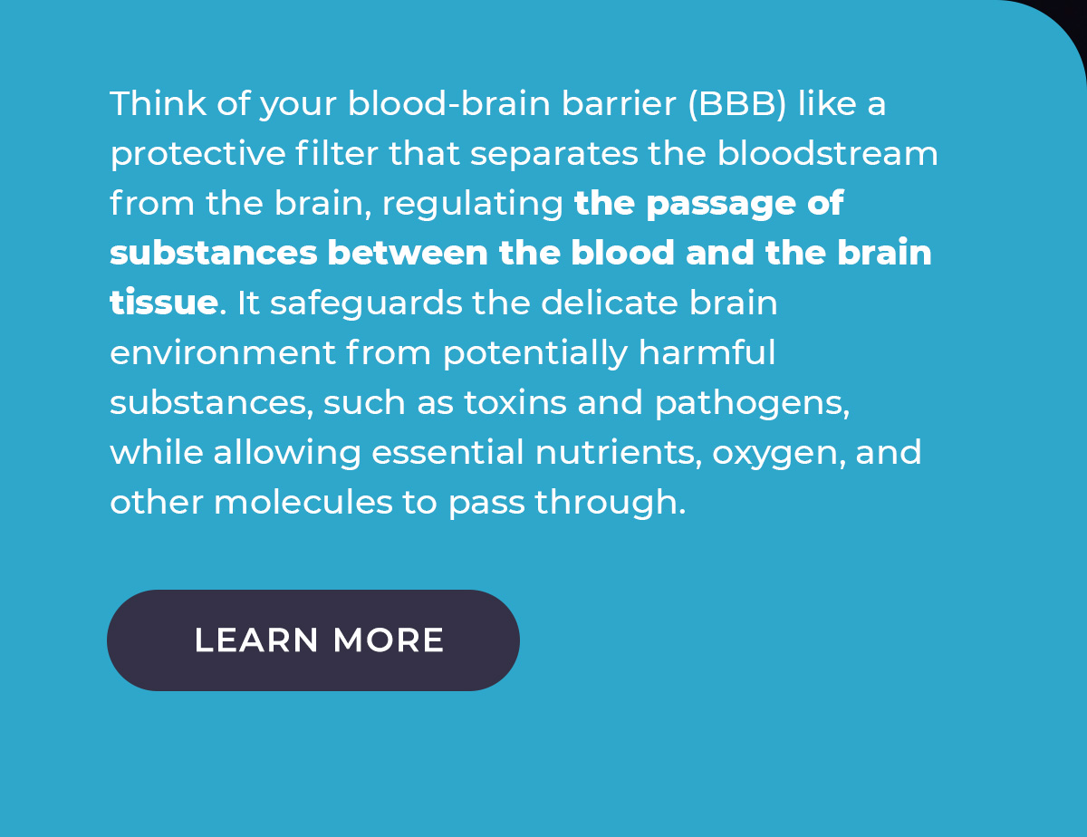 BodyBio: What Is the Blood-Brain Barrier? | Milled