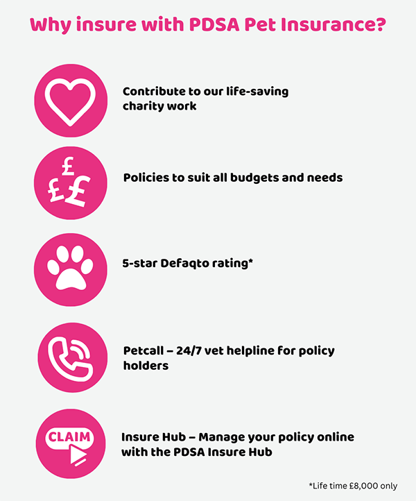 PDSA: Why our pet insurance is worth it? | Milled