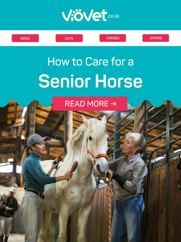 Viovet: How to Care for a Senior Horse | Milled