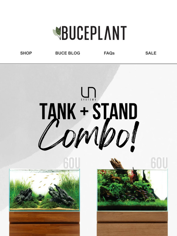 Buce Plant: Tank + Stand COMBO Now Available 🔥🌱 | Milled