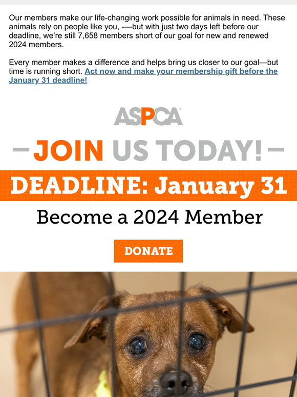 ASPCA: —, please check your 2024 member status. | Milled