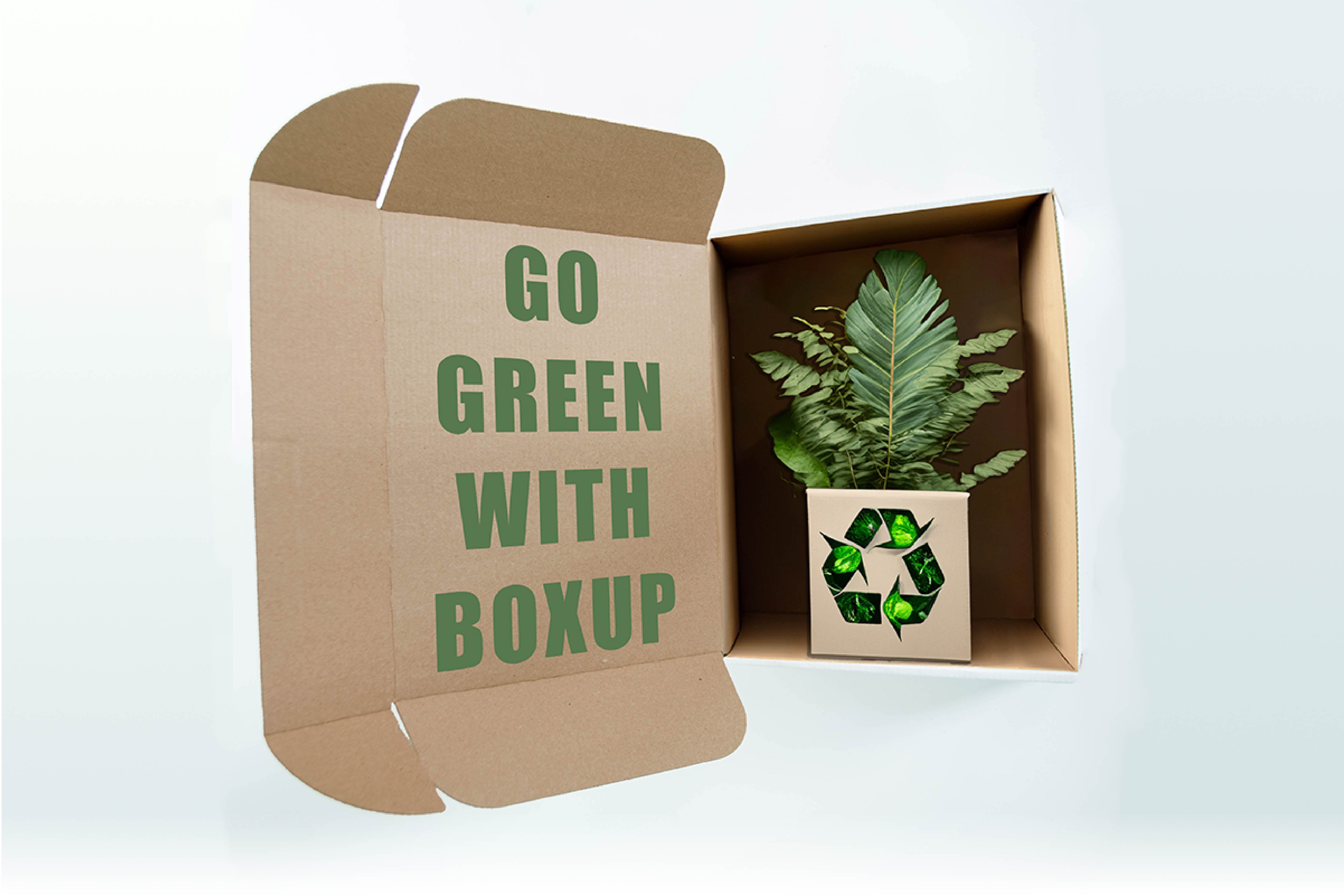 BoxUp: The Future of Shipping is Here: Unveiling Our Sustainable Boxes! | Milled