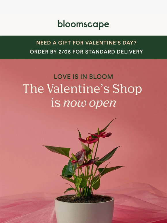 Bloomscape: Now Open: The Vday Shop ️ | Milled