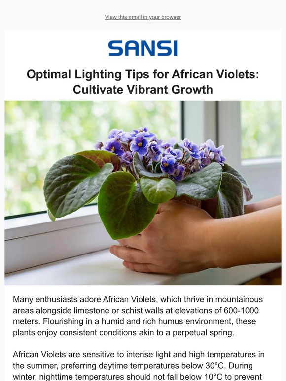 SANSI: 📝Learn more Lighting Skills to Make our African Violets Growth🌿 ...