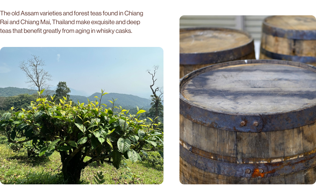 Rishi Tea: Japanese Whisky Barrel Aged Teas | Milled