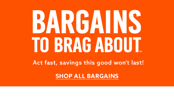 Big Lots: Find Bargains to Brag About inside 👀 | Milled