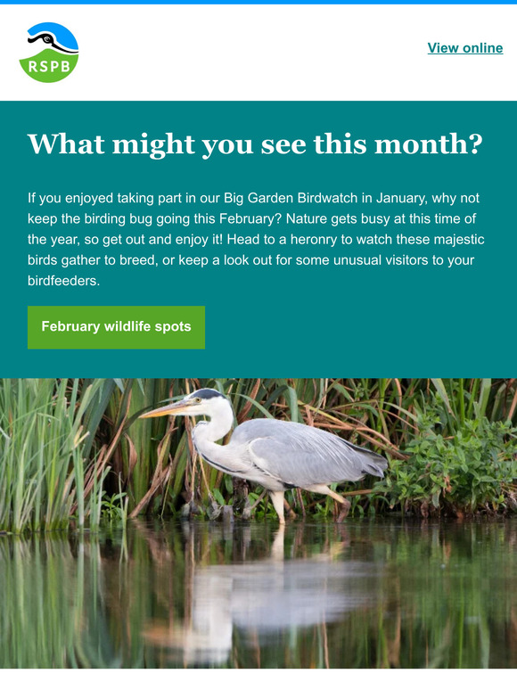 RSPB: How to spot the signs of spring | Milled