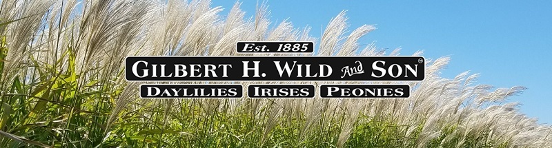 Gilbert H. Wild & Son: All New Varieties! | Milled