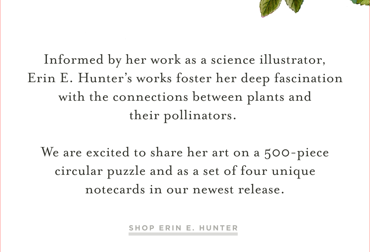 Pomegranate: New Artist Erin E. Hunter | Milled