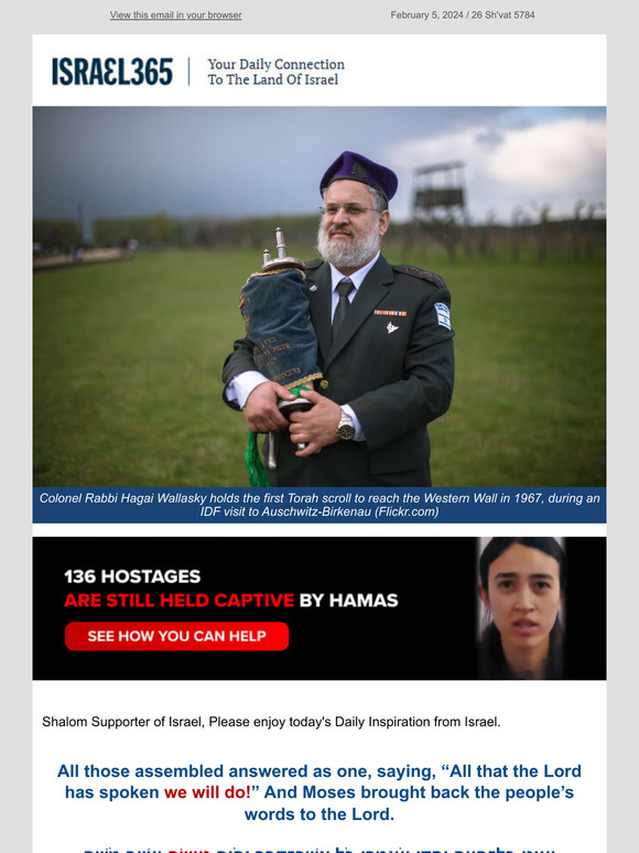 The Israel Bible: The Secret of Jewish Resilience | Milled