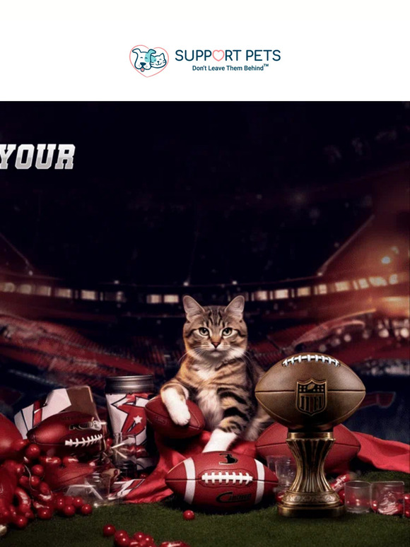 Support Pets: 🏆 How To Turn Every Day Into A Win With haru! | Milled