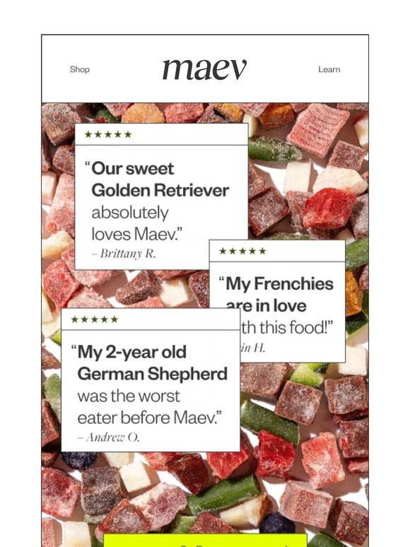 Maev: What do Frenchies & Labs have in common? | Milled