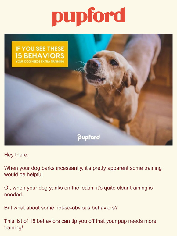 Pupford: Does your pup do one of these 15 "bad" behaviors?! | Milled