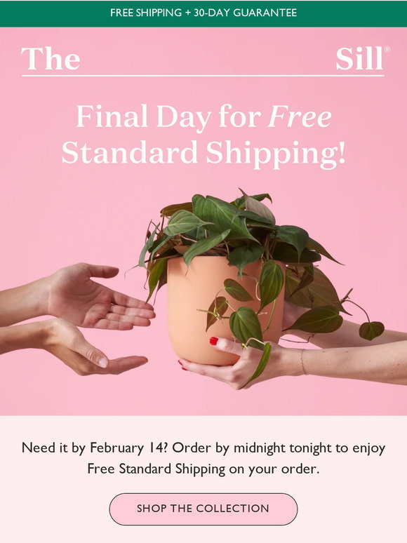 The Sill: Last Call! Order by Midnight for Valentine's Day! | Milled