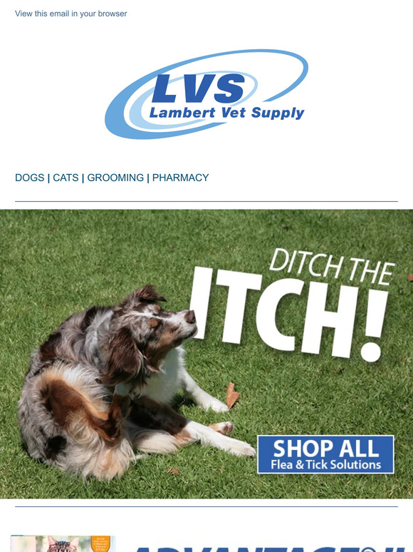 Lambert Vet Supply: Can Dog's Get Fleas in the Winter? | Milled