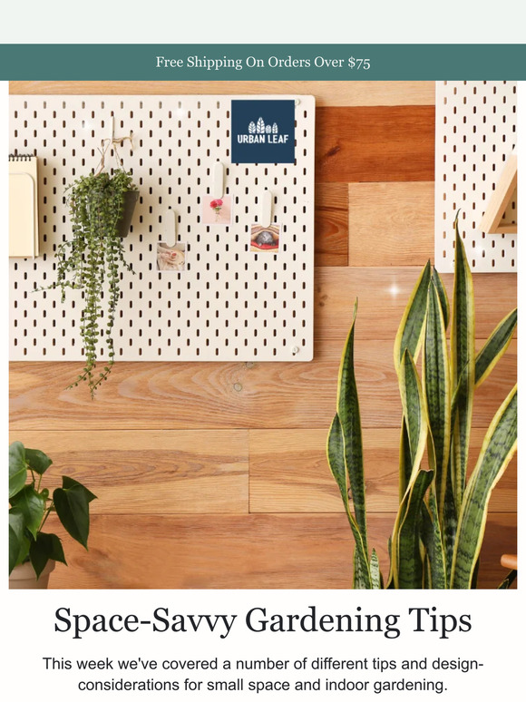 Urban Leaf: Small Space Gardening Ideas You'll Love | Milled