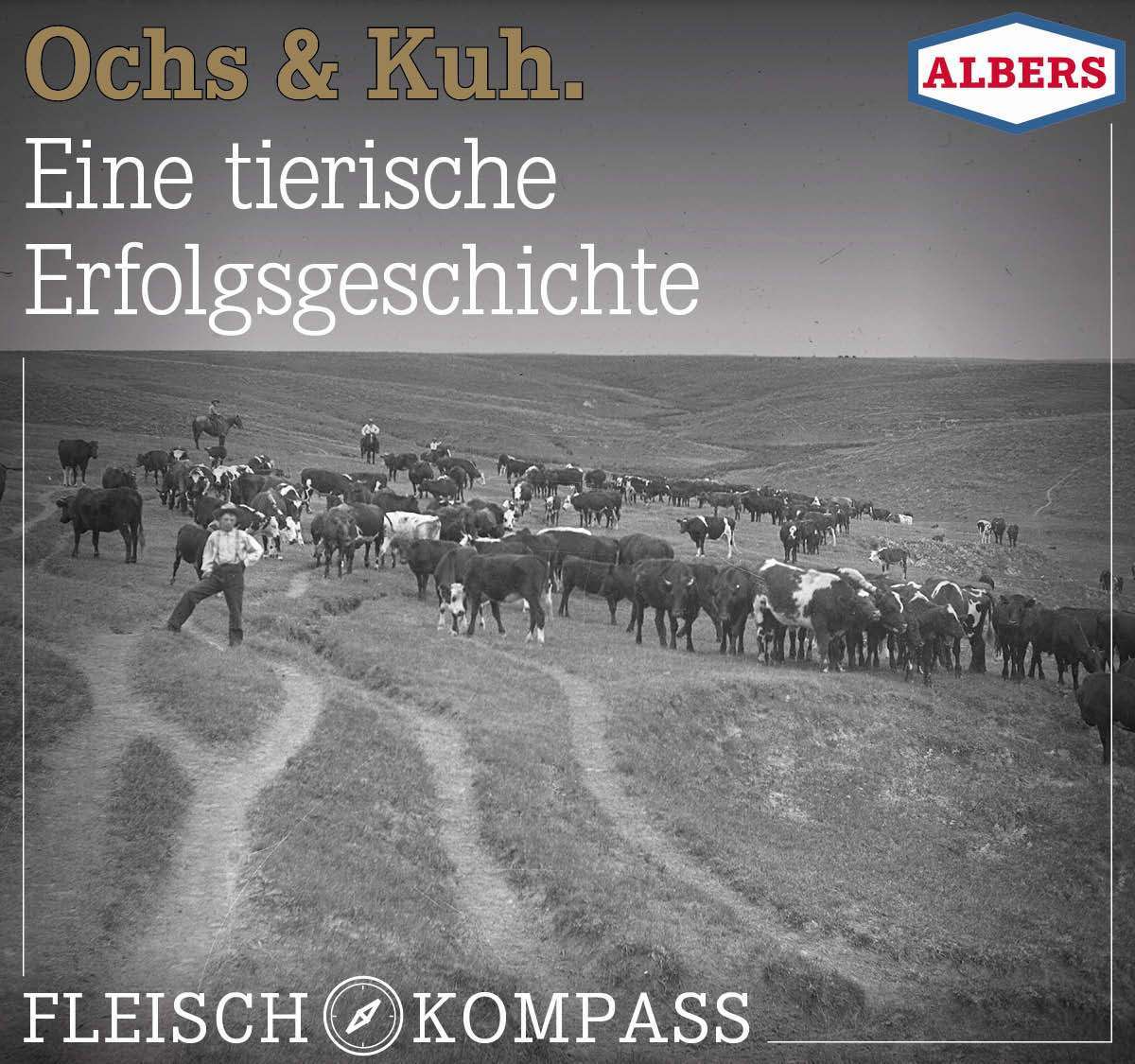 Albers Food: Seit wann schätzt der Mensch das Rind als Nutztier ? | Milled
