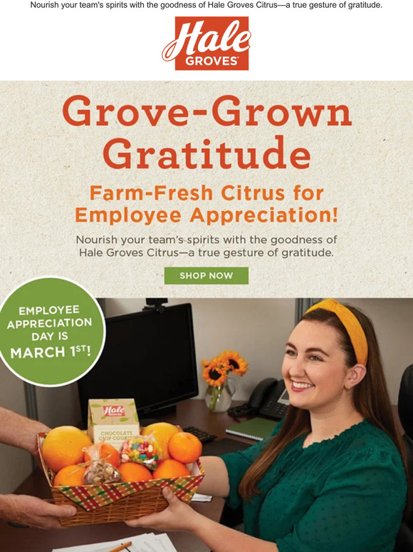 Hale Groves: Grove-Grown Gratitude: Farm-Fresh Citrus for Employee ...