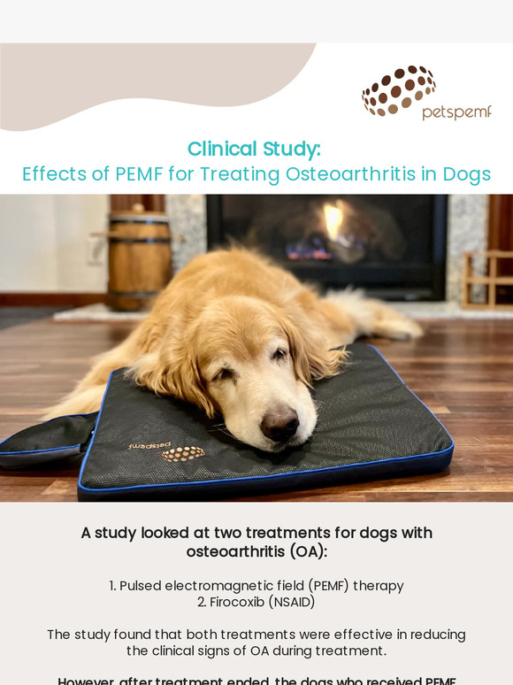 Petspemf: PEMF + Osteoarthritis: How does PEMF work? | Milled