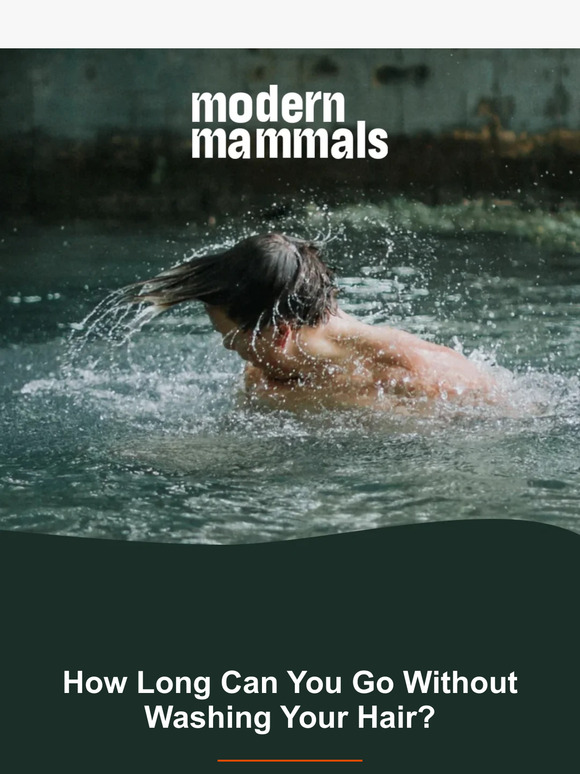 Modern Mammals How Long Can You Go Without Washing Your Hair Milled