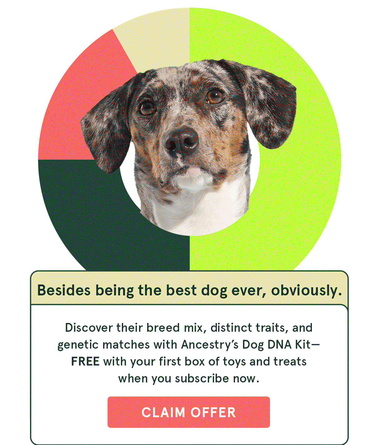 Bark: Back in Stock: FREE Ancestry Dog DNA Kit 👉 | Milled