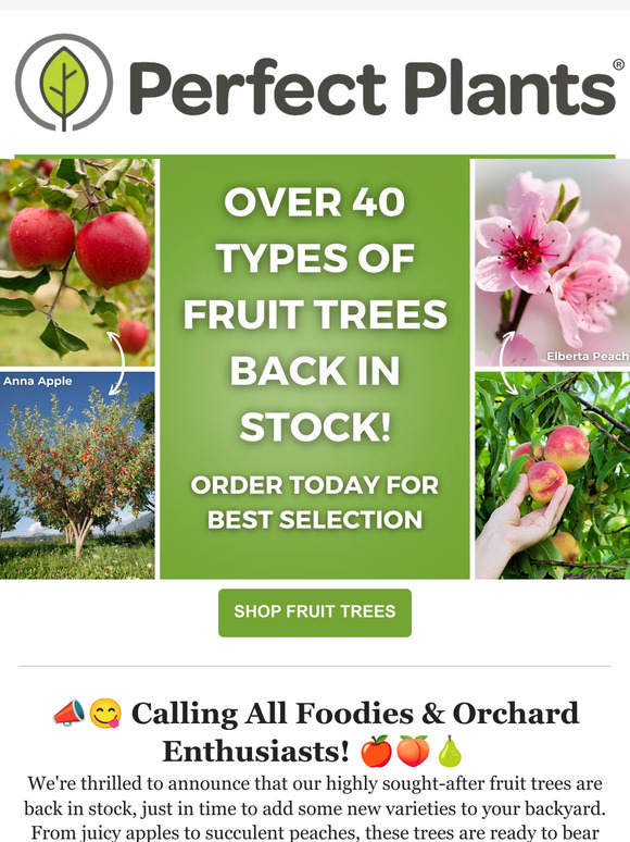 Perfect Plants Nursery: 🚨 BACK IN STOCK! Fruit Trees for Spring | Milled