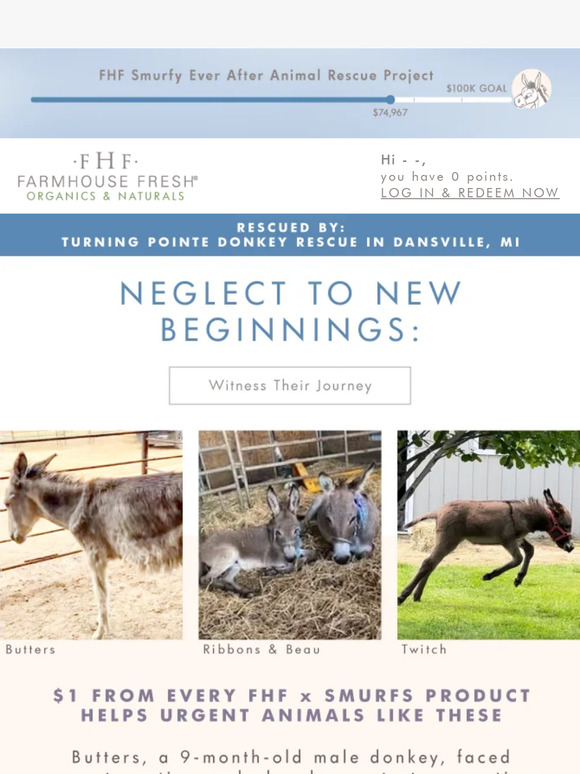 FarmHouse Fresh: The Incredible Transformation of These 4 Donkeys Will ...