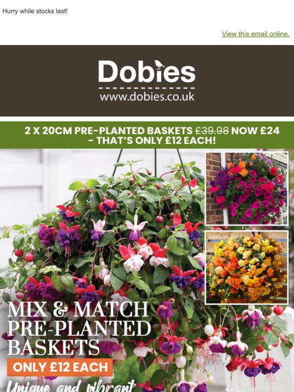 Dobies: Pre-Planted Hanging Baskets ONLY £12 EACH! 48 HOURS ONLY! | Milled