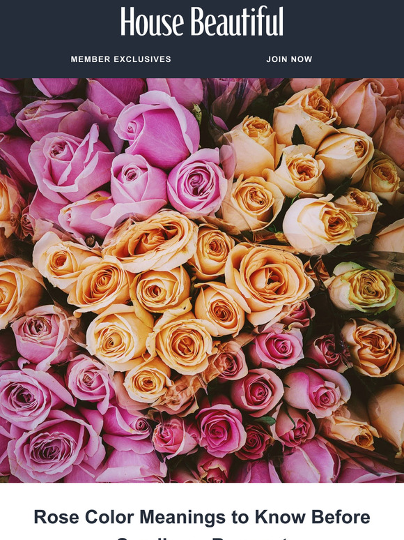 House Beautiful: What Each Rose Color Actually Means | Milled