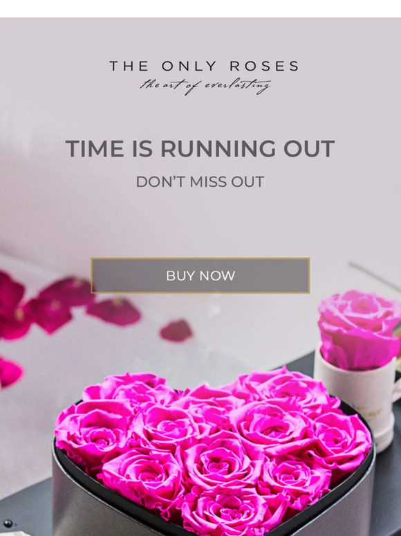 The Only Roses: TODAY IS THE LAST DAY | Milled