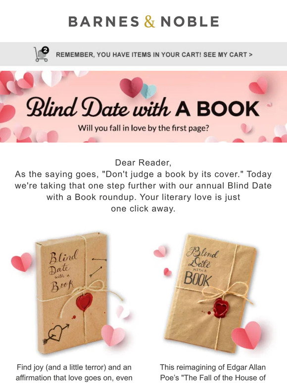 Barnes & Noble: Blind Date With a Book | Milled