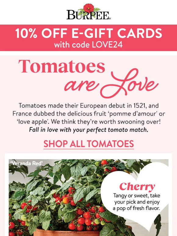 Burpee: Tomatoes + 10% off gift cards | Milled