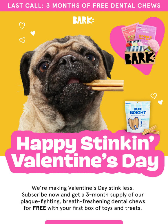 BarkBox: Does your Valentine have stinky breath? 🐶 😬 | Milled