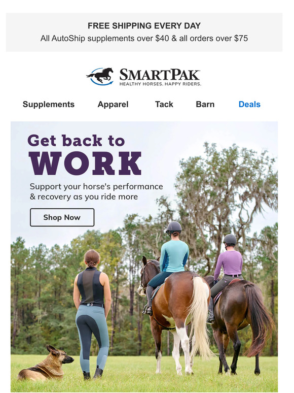 SmartPak Equine: Top Picks To Bring Your Horse Back Into Work | Milled