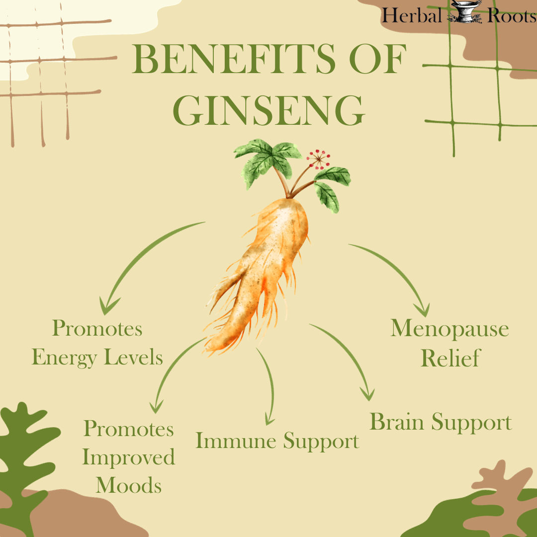 Herbal Roots: Ginseng Root Is A Powerful Herb That Has Many Health ...