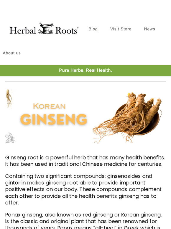 Herbal Roots: Ginseng Root Is A Powerful Herb That Has Many Health ...