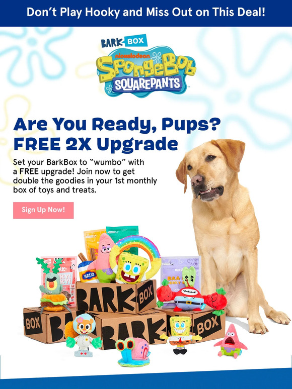 BarkBox: FREE👅💦SpongeBob👅💦upgrade | Milled