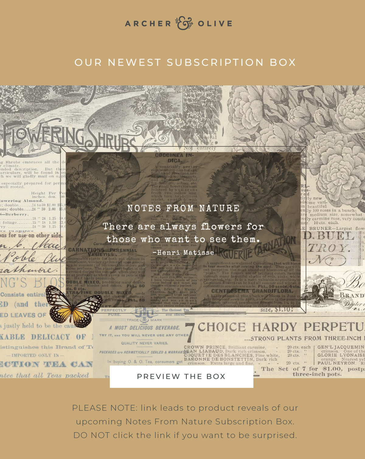 Archer & Olive: 🦋🍃 Notes From Nature: A Sneak Peek Of Our Newest Sub ...